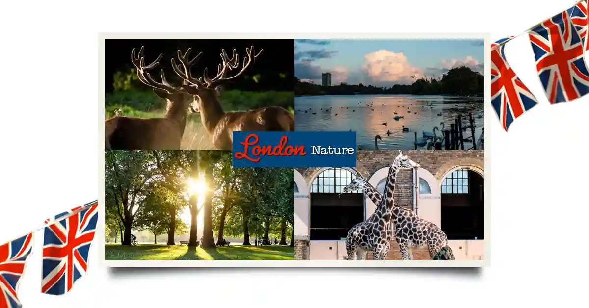 London Nature